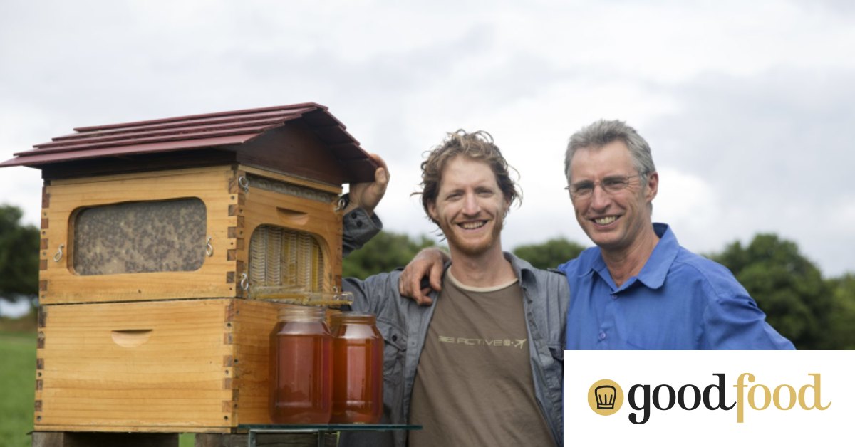 Honey-on-tap beehive a crowd-funding success for father and son team