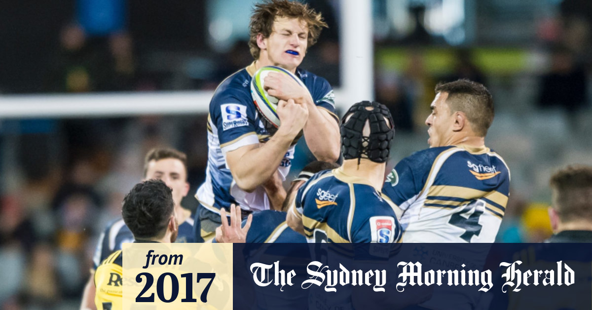ACT Brumbies to re-sign James Dargaville on new Super Rugby contract