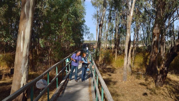 Murray Valley National Park, New South Wales: Walking trails and ...