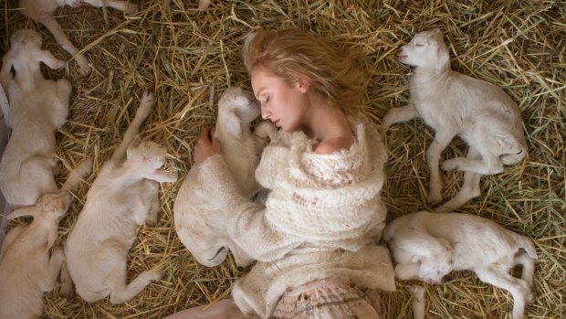 Here's looking at you, kid: why goats are flavour of the month (sorry ...