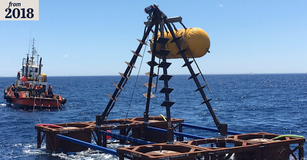 Try a tower: Where the fish are biting off Perth this weekend
