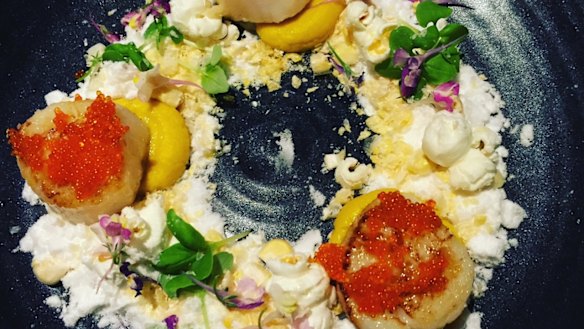 Five reasons it's worth exploring Brisbane, your own city