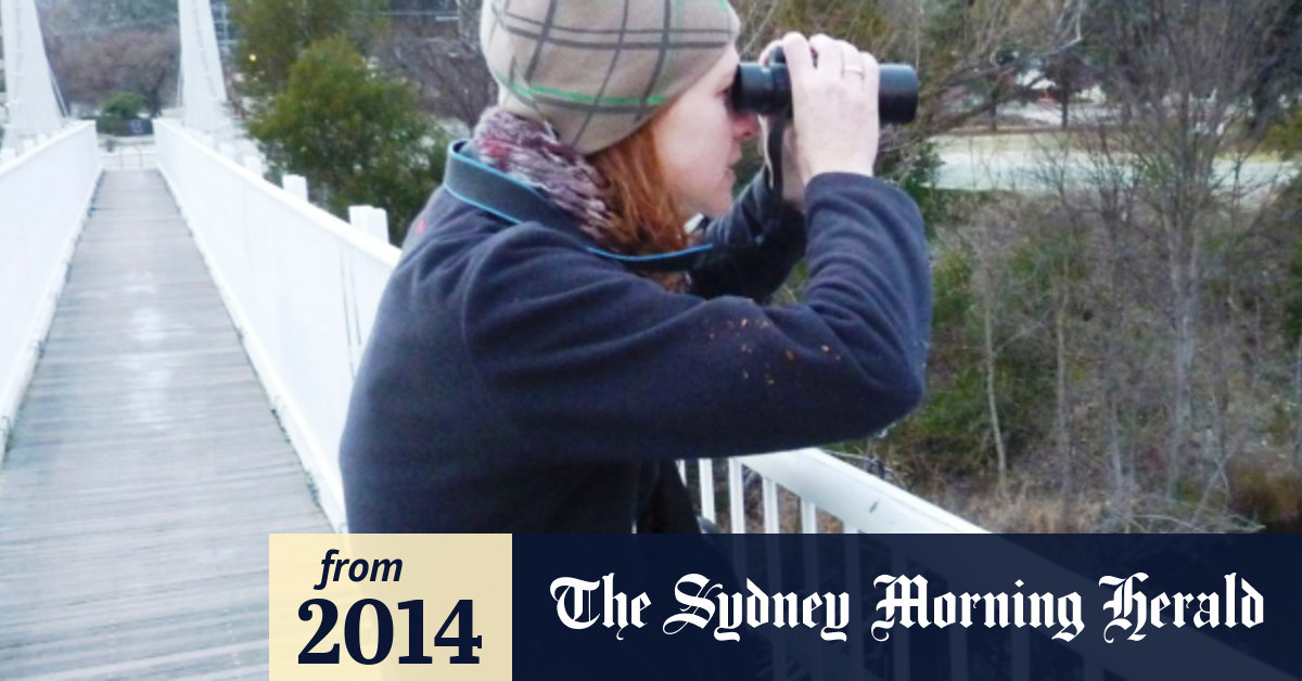 Queanbeyan suspension bridge closed until Christmas for maintenance