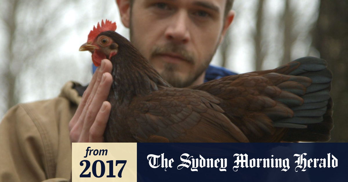 Chicken People review: There's a clucky charm to this tale of chickens ...