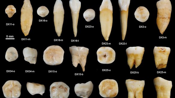 Ancient Chinese teeth could rewrite human history