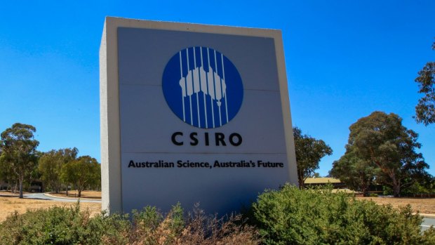 'Flaws exposed' after 30 CSIRO workers exposed to 'pathogen'