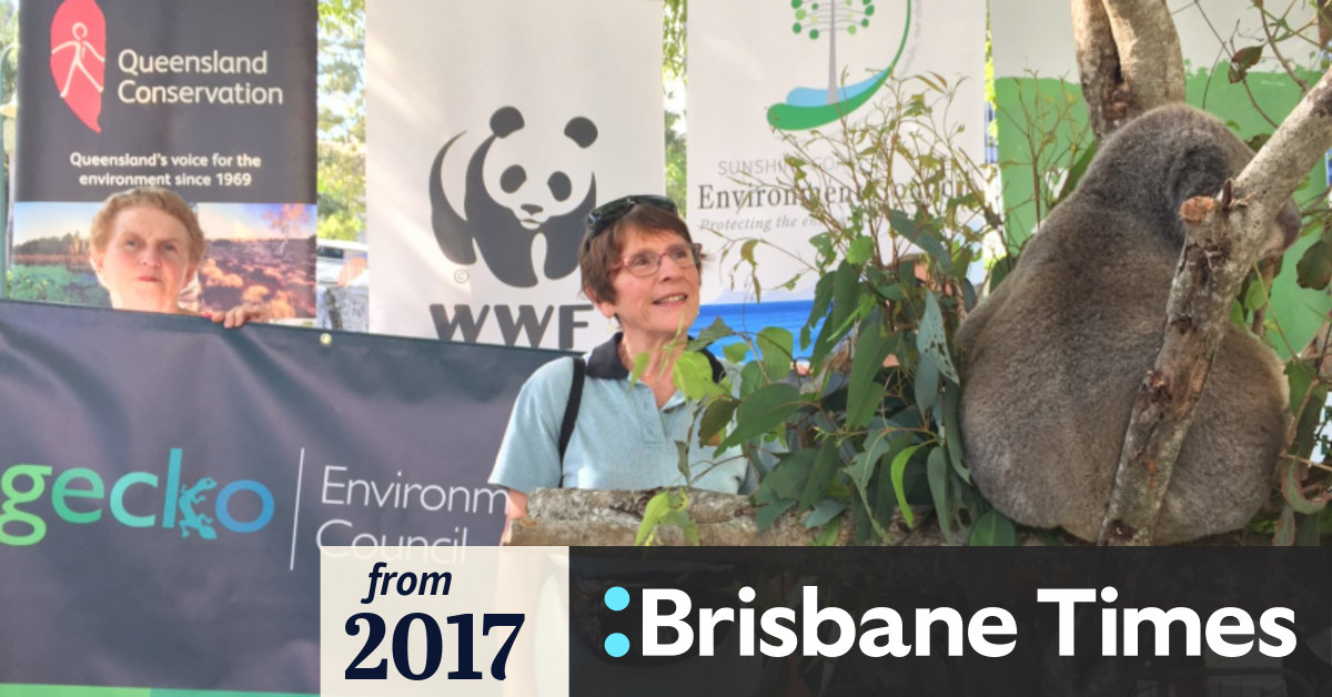 Conservation groups join forces to lobby government to protect against ...