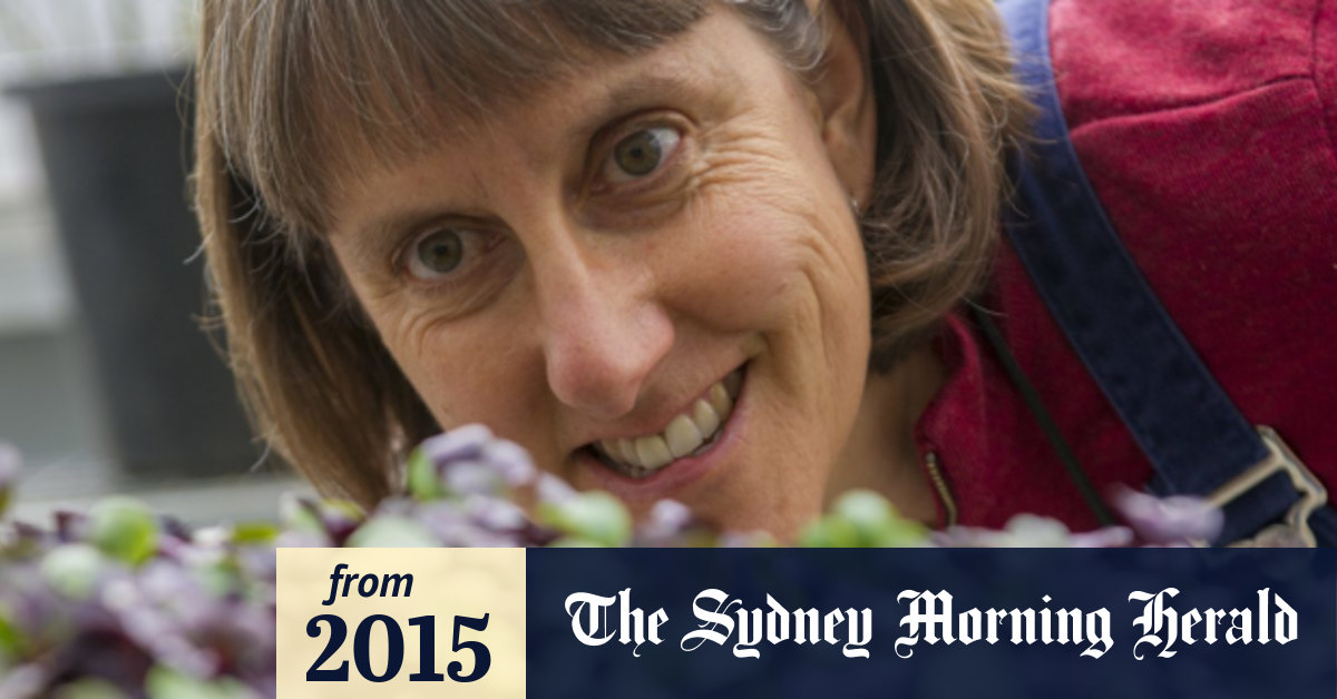 Merici College grows microgreens for Canberra restaurants