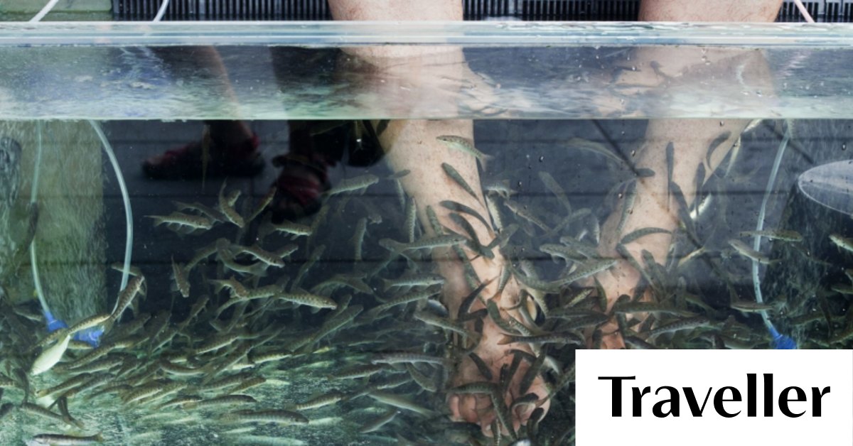 Feet-cleaning fish in south-east Asia: Not worth the risk