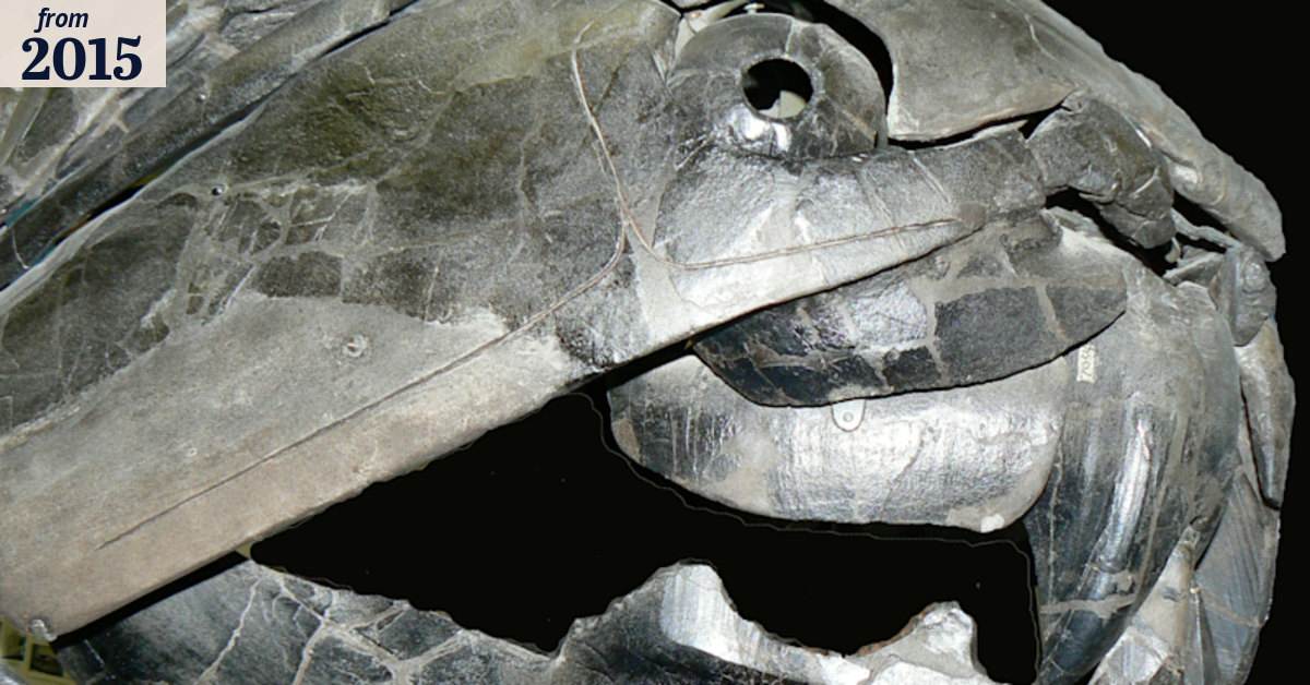 New theory on one of science's 'biggest mysteries', Earth's mass ...