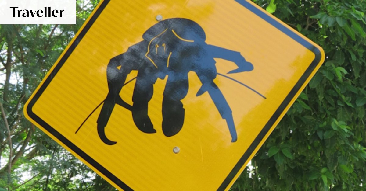 Australia's strangest road signs