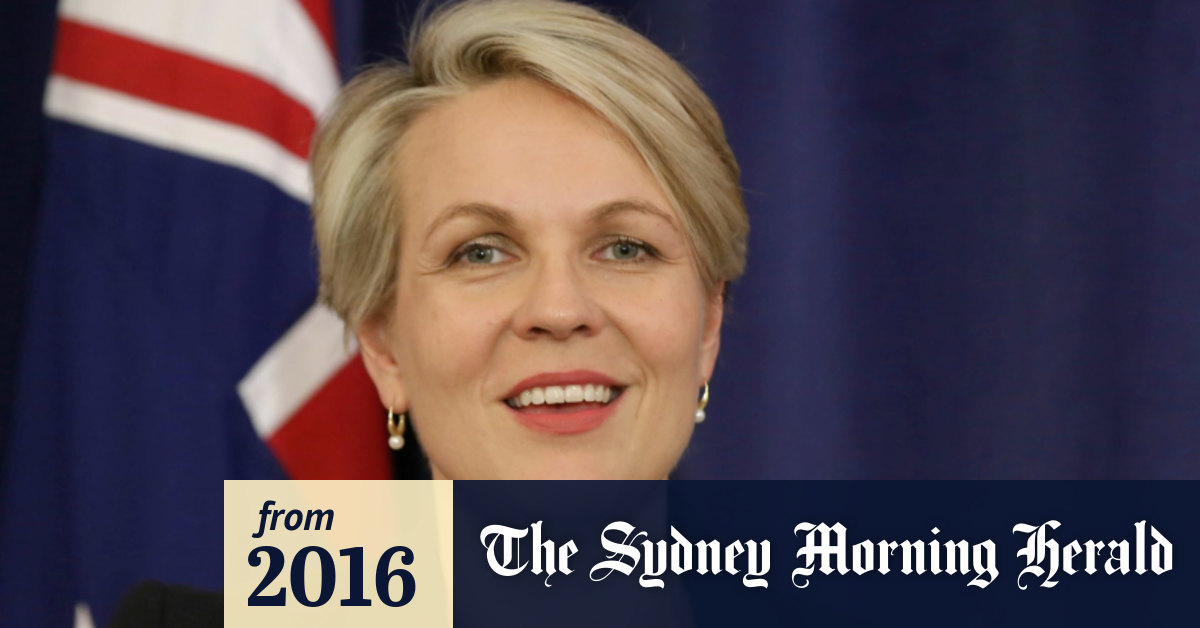 Female Labor MPs outnumber Liberal women two to one in new Parliament