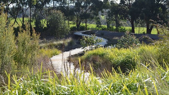 Last chance to see the dramatic gardens of Musk Cottage