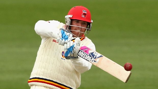 Jason Roy, Mark Cosgrove add youth and experience to Sydney Thunder