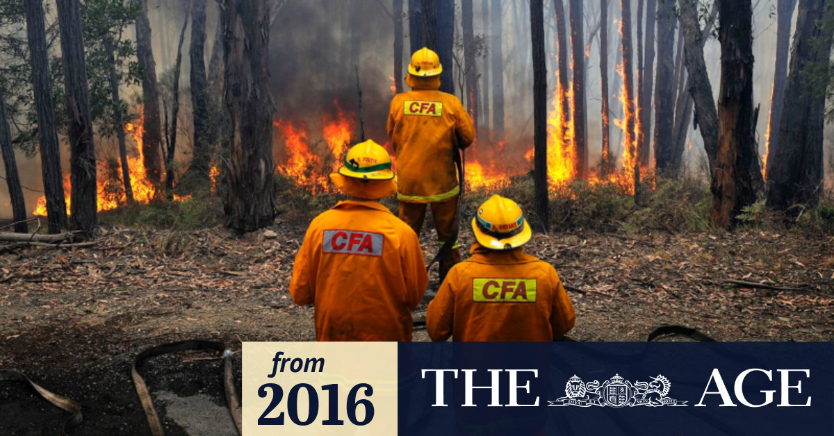 Bushfire in Meredith: 20 fire crews battling blaze
