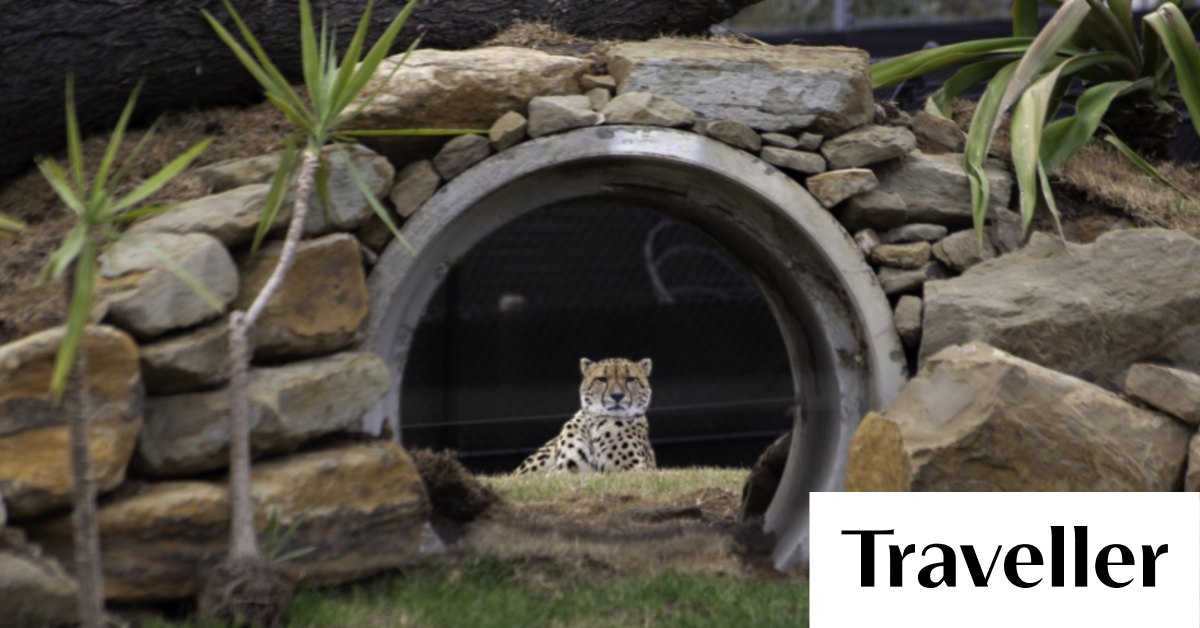 Sydney Zoo, Bungarribee, NSW: The west gets its own world-class zoo