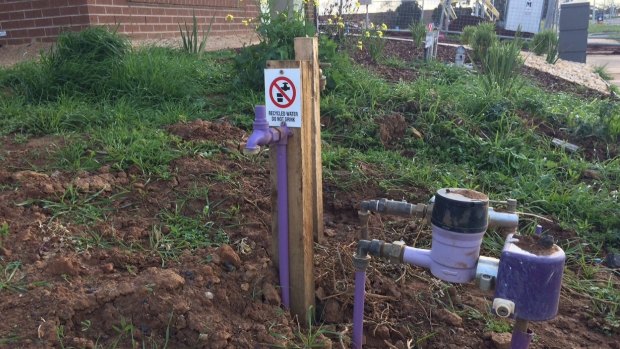 Recycled water project faces new delays as purple pipes remain empty