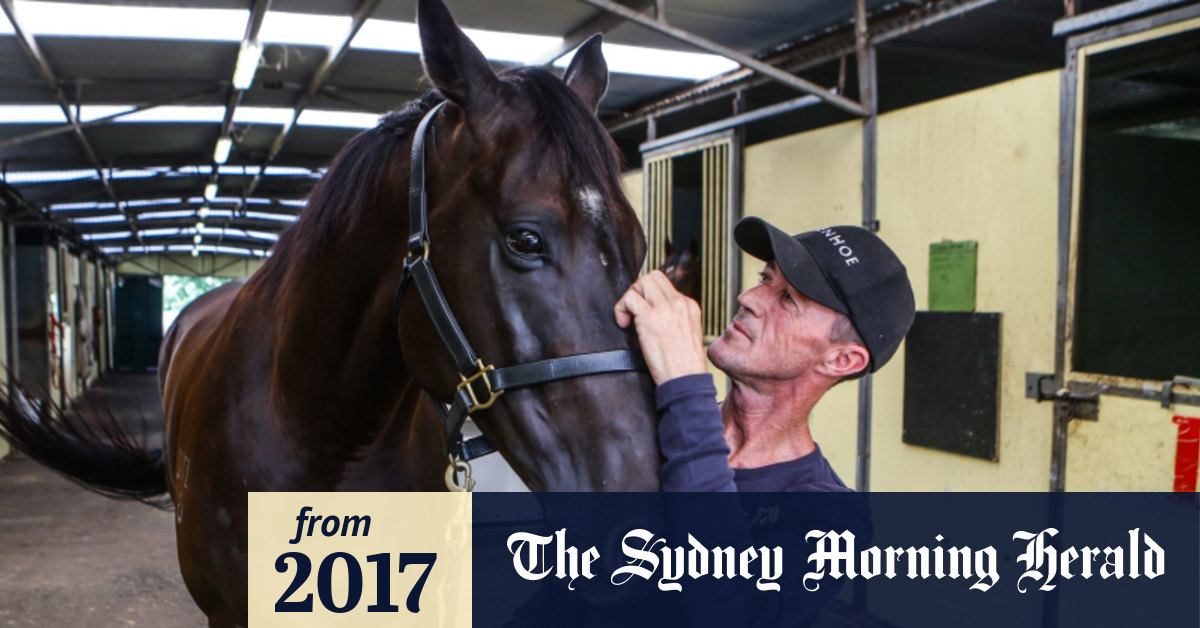 Peter Robl confident She's On Que's up to Inglis Classic debut