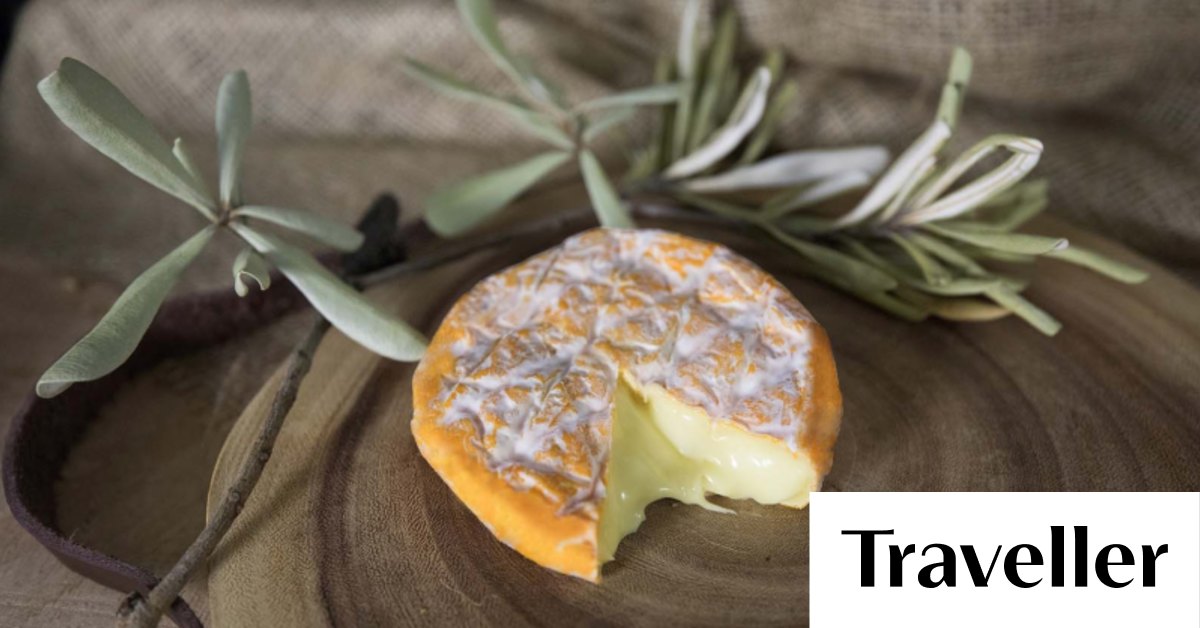 Seven dishes you must try on the Sunshine Coast: Chef Cameron Matthews