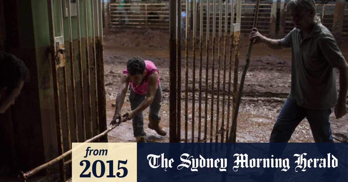 BHP Billiton Samarco mine disaster caused by negligence, says Brazilian ...