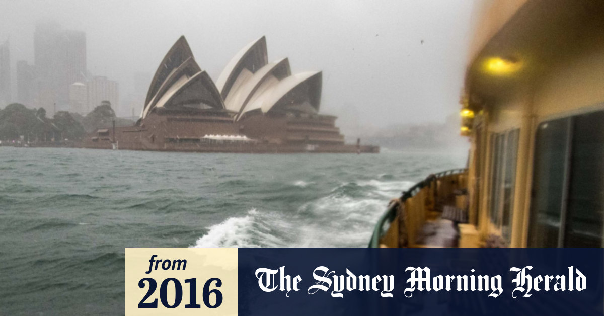Sydney Now: What you need to know on Monday, December 19, 2016
