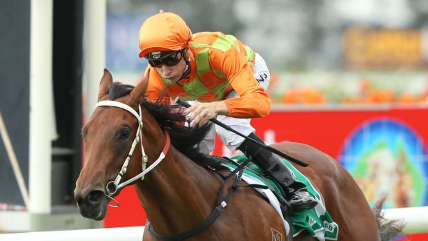 Bede Murray hopes the plan with Rafha's Choice delivers the Inglis Nursery