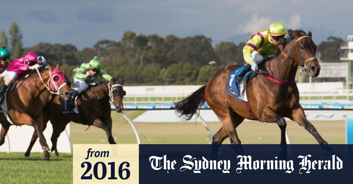 Racing Victoria chairman David Moodie hopes Solicit can overcome ...