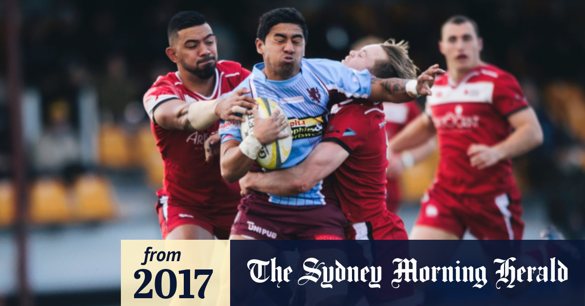 Wests beat Tuggeranong Vikings for grand final spot to keep 19-year ...