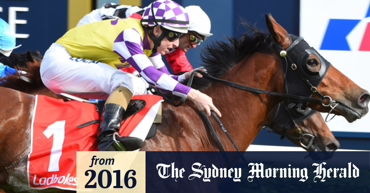 Best derby in years will make for strong staying races of the future