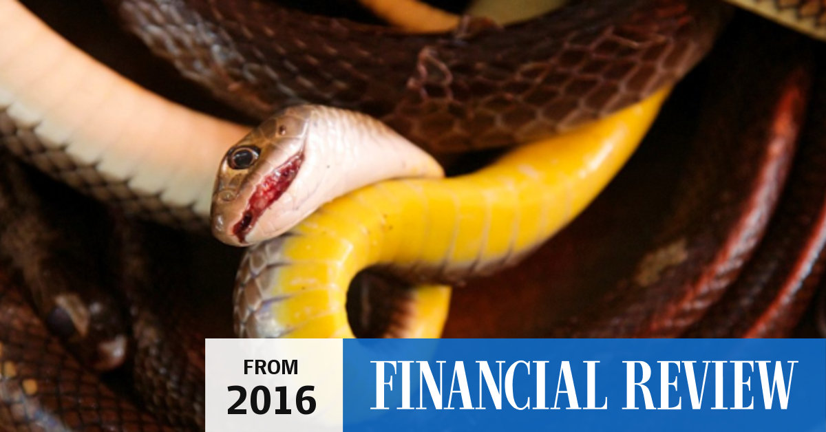 How the snake lost its legs