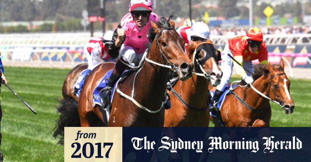 Racing: Flying Artie owner Wilf Mula dreaming of conquering The Everest