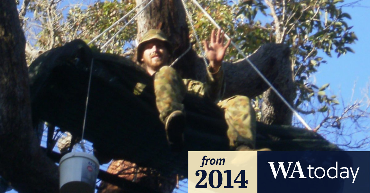 Army reservist one man tree-sitting protest in South West