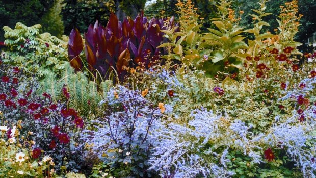 Indigenous plant secrets and autumnal colour