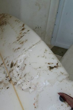 Former boxer Craig Ison's hand almost severed in punching great white shark