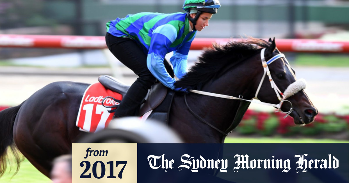 Jane Chapple-Hyam admits beating Winx would be the unlikeliest of victories