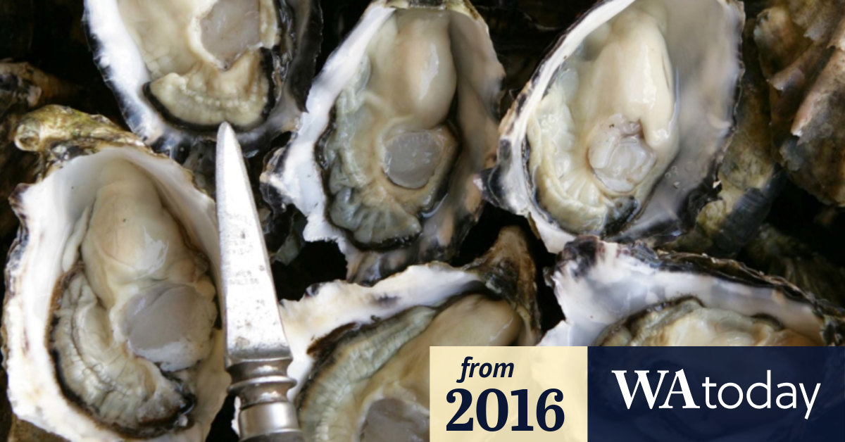 Seafood poisoning warning issued for shellfish in Swan and Canning rivers