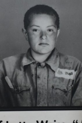 Jewish survivor tells story for Auschwitz Liberation 70th anniversary ...