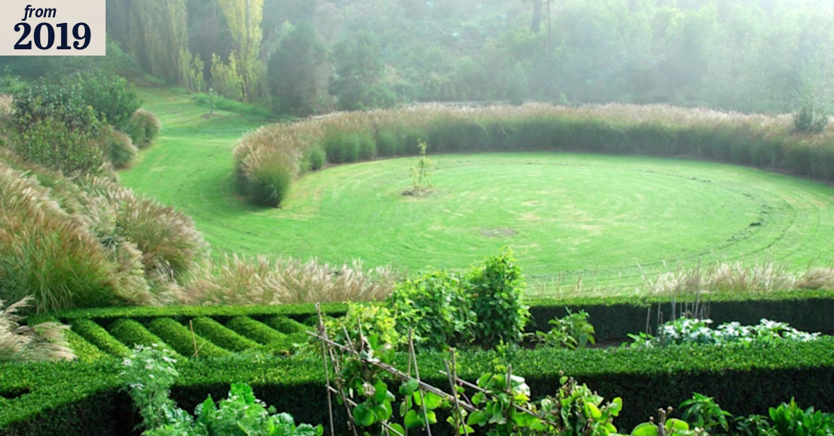 Outdoors: Q&A with garden designer Michael McCoy