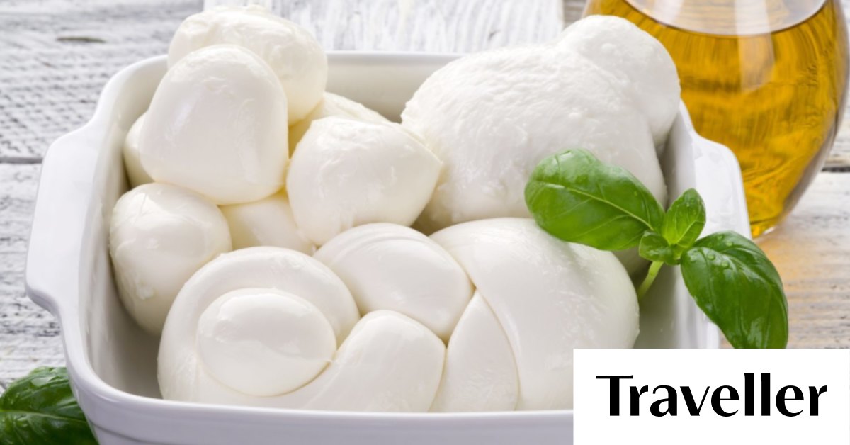 Salerno, Italy: The tour made for buffalo mozzarella lovers