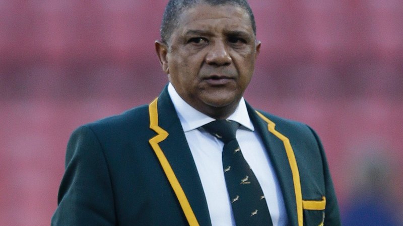 South Africa rugby coach Allister Coetzee wants Springboks to turn on ...