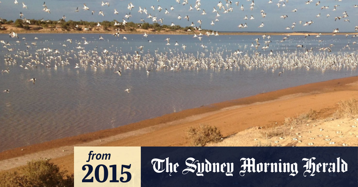 Ausdrill rigs walk on salt lakes to find gold in WA
