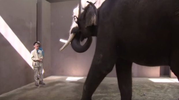 Korean words, straight from the elephant's mouth