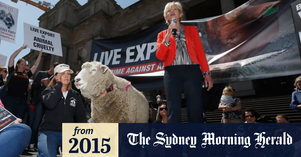 Protesters demand end to live export trade