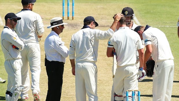 Players rush in after WA batsman Tom Beaton is struck in Sheffield ...
