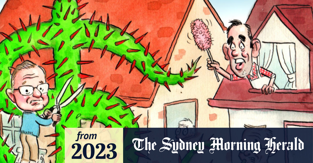 Cartoons of the week