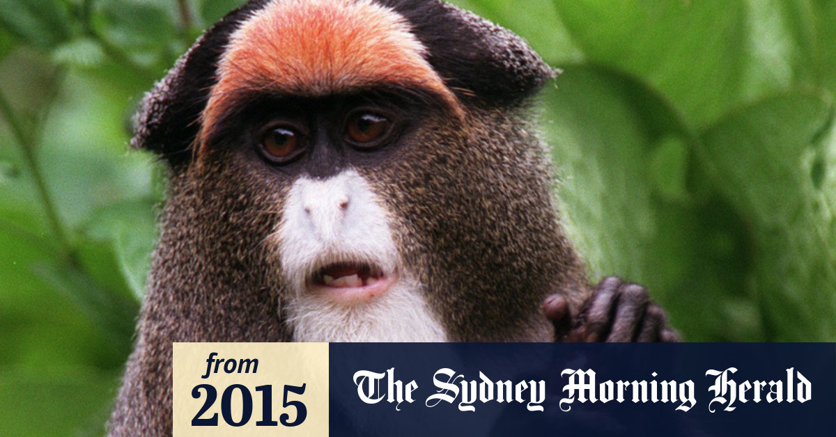 Saving is easy if you master this one thing