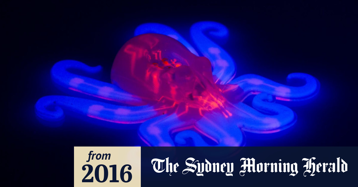 Meet Octobot, a soft-bodied robot that moves like an octopus