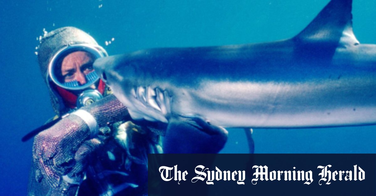 A real life Shark Tale - Valerie Taylor