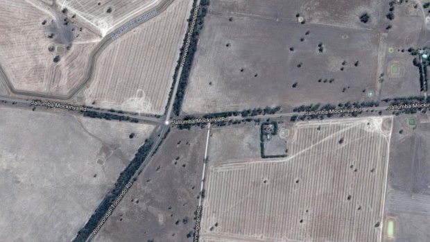 Missing Minion in the bush: a dastardly crime