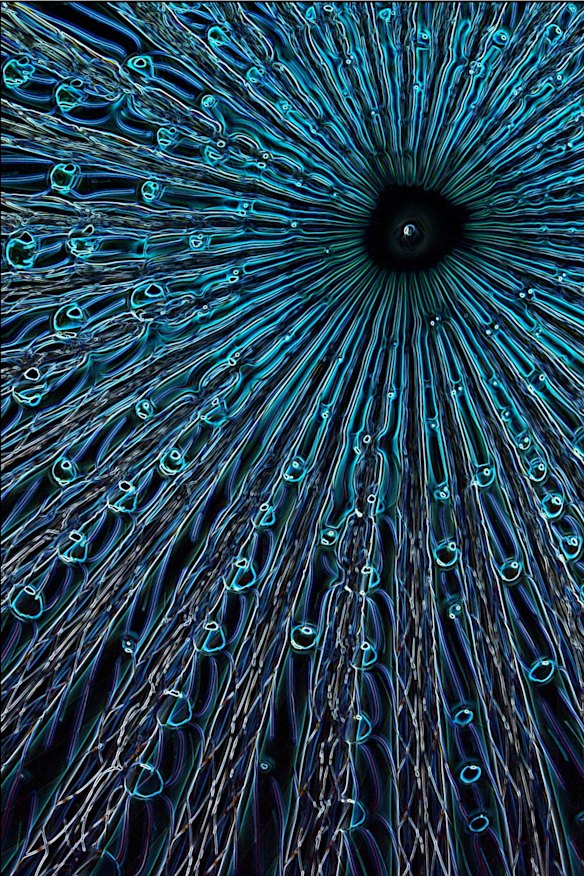Glass and photographs find perfect match in new exhibition by Joanna ...